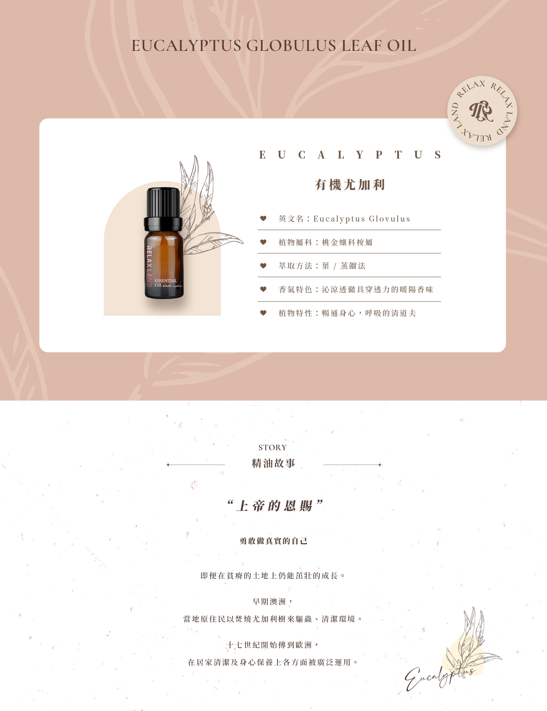 有機尤加利 – Relaxland